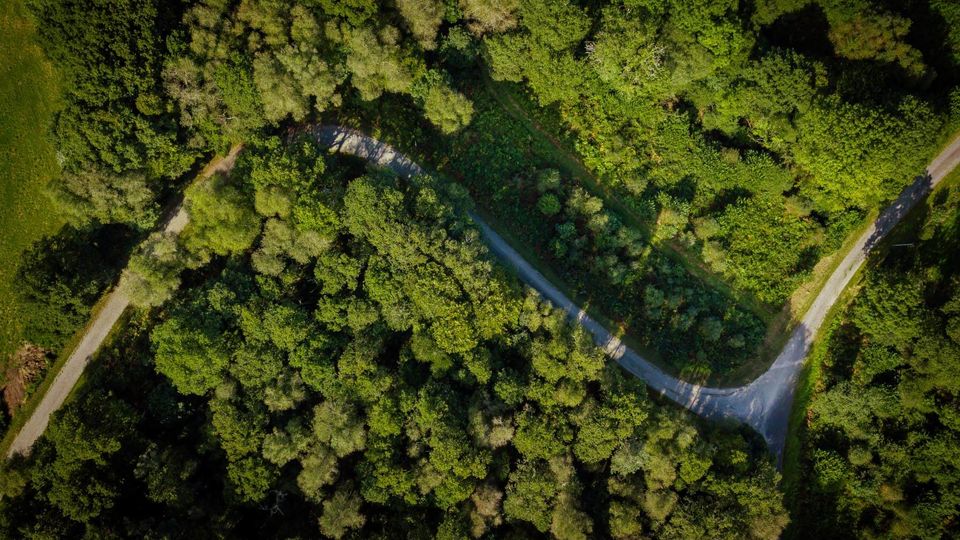 Make a sustainable, long-term commitment to biodiversity and forests ...