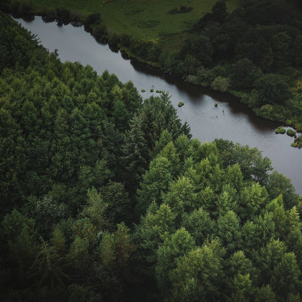 How to fight climate change | EcoTree