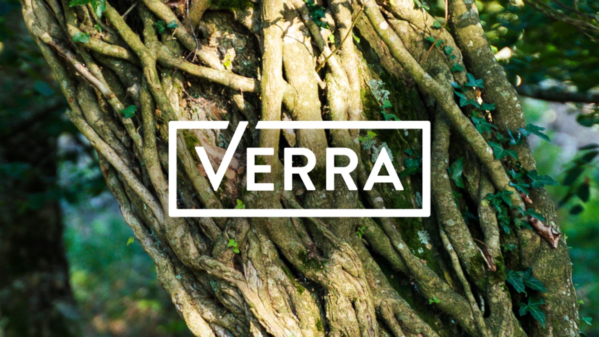 Remove your company's residual carbon footprint to achieve net zero ...