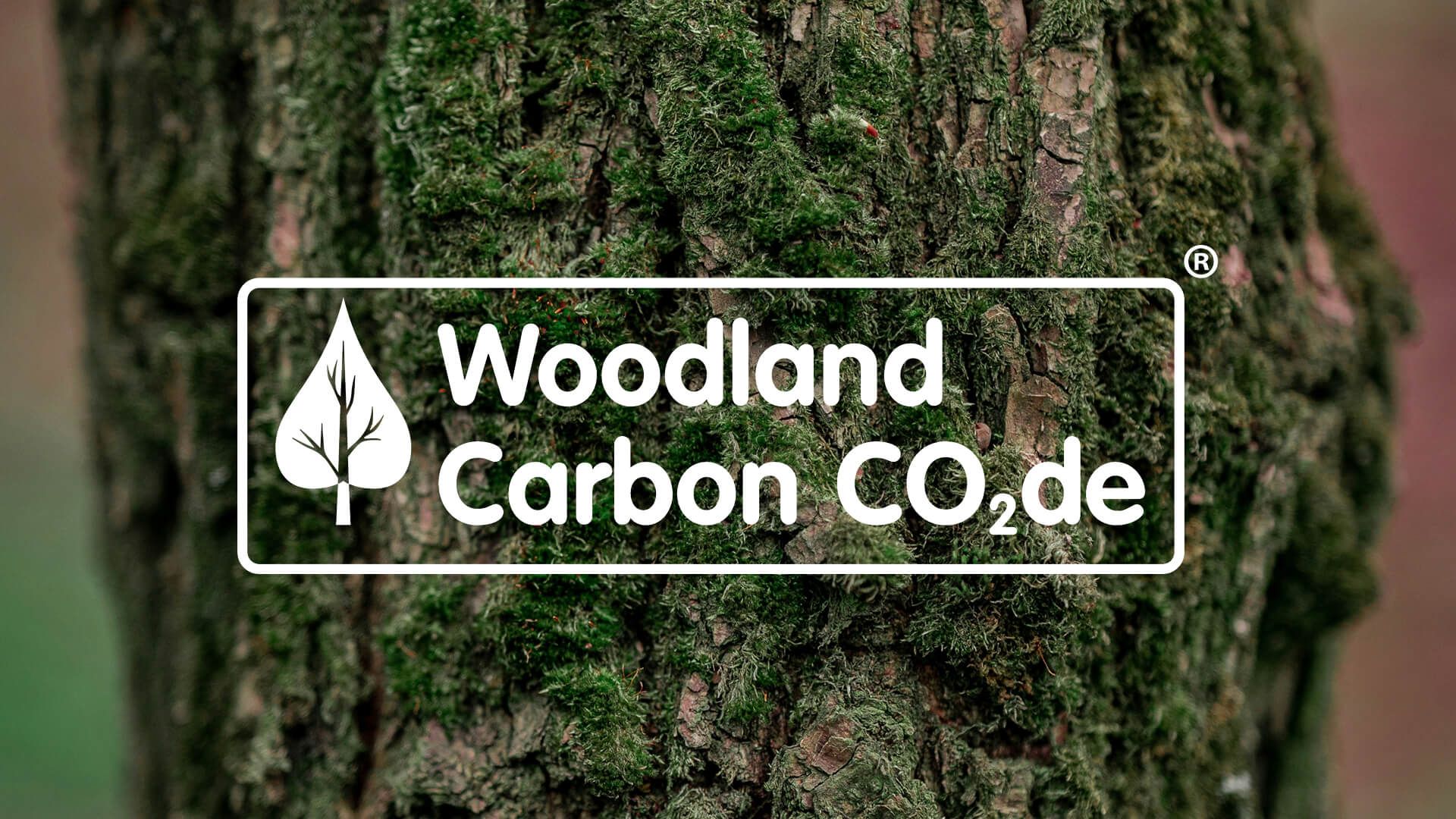 Remove your company's residual carbon footprint to achieve net zero ...