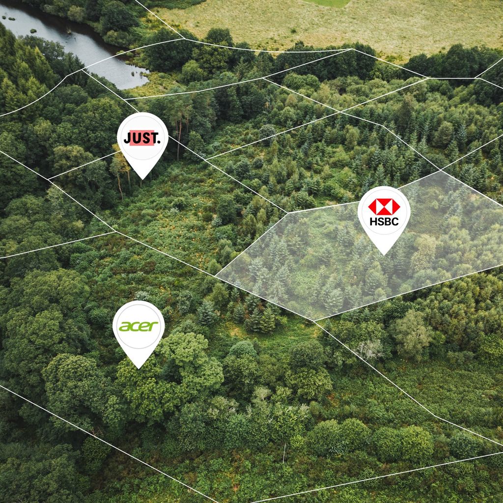 Your ESG strategy and sustainable development through forests, its ...