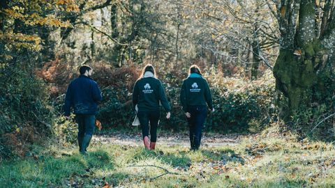 Biodiversité et forêts | S’engager durablement | EcoTree