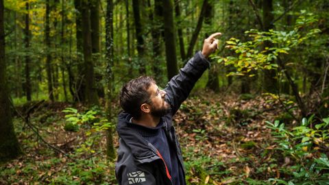 Your ESG strategy and sustainable development through forests, its ...