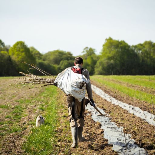 How to fight climate change | EcoTree