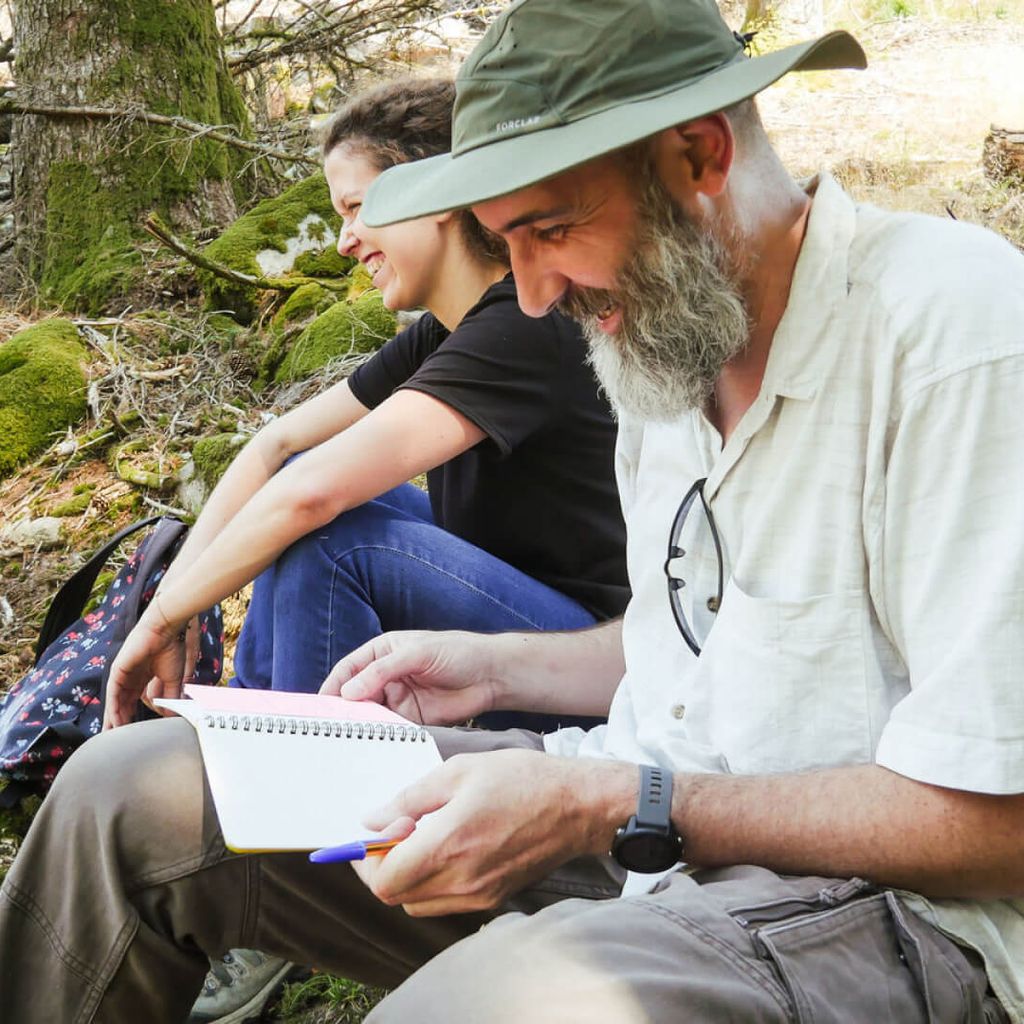 What does the PEFC Certification mean for Sustainable Forestry? | EcoTree